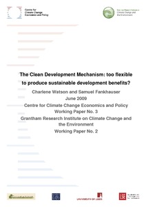 The Clean Development Mechanism: too flexible to produce sustainable ...